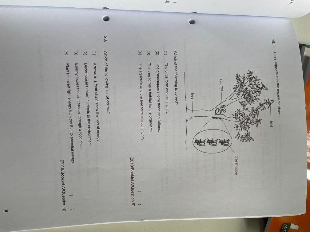 PSLE Science past paper 2018-2020, Hobbies & Toys, Books & Magazines ...