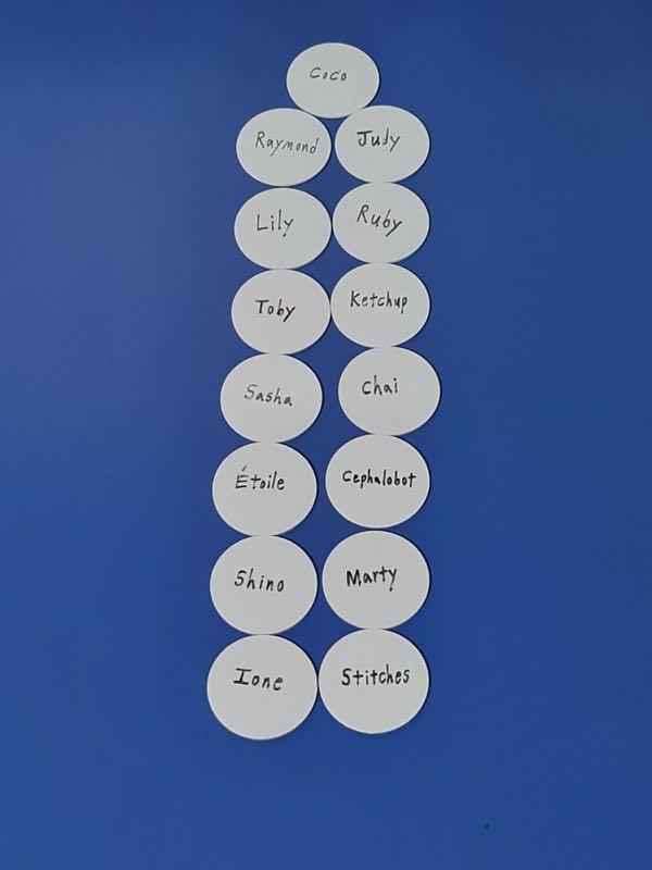 Amiibo Cards/Coins for any custom Animal Crossing: New Horizons ...