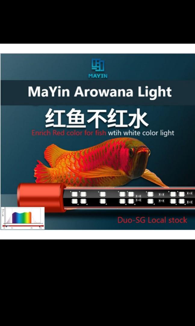 Mayin viewing light, Pet Supplies, Homes & Other Pet Accessories on ...