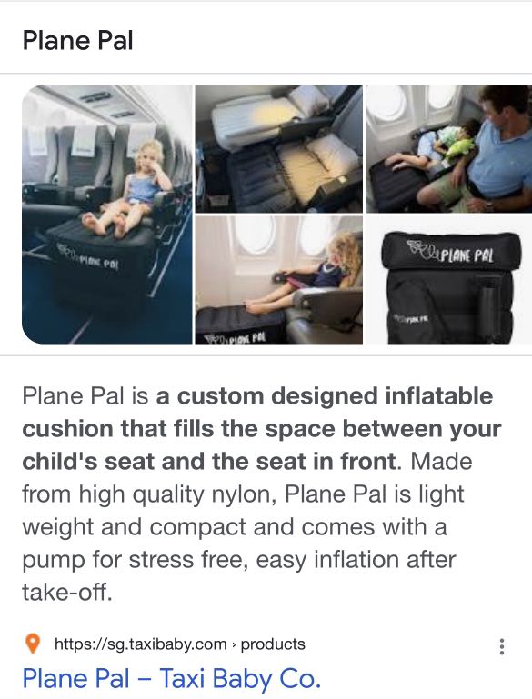 Plane Pal, Hobbies & Toys, Travel, Travel Essentials & Accessories on ...