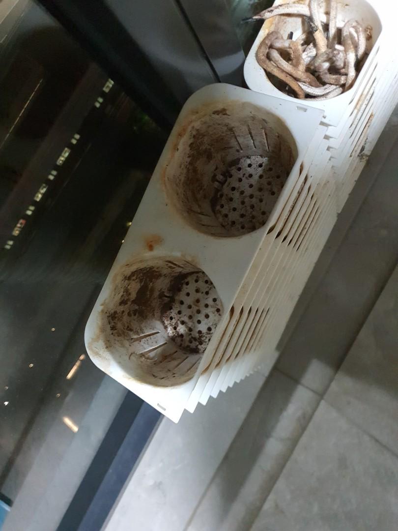FREE Twin hole plant pot (many), Furniture & Home Living, Gardening ...