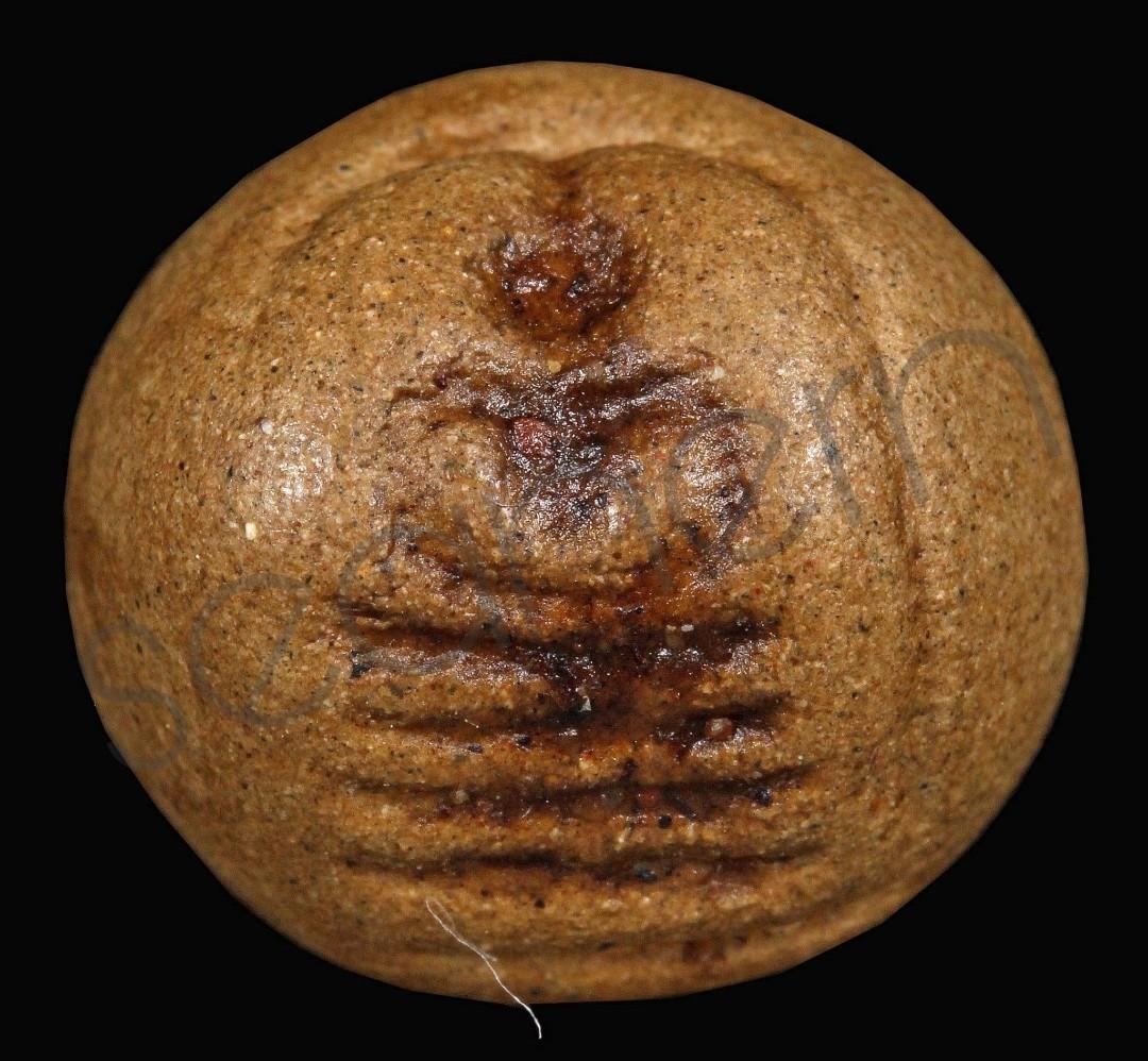 LP SanGuan Loop Om Somdej MahaSaney (Rare) Wat PaiPhan., Hobbies & Toys ...