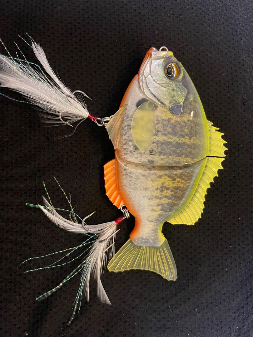 Evergreen Breamslide, Sports Equipment, Fishing on Carousell