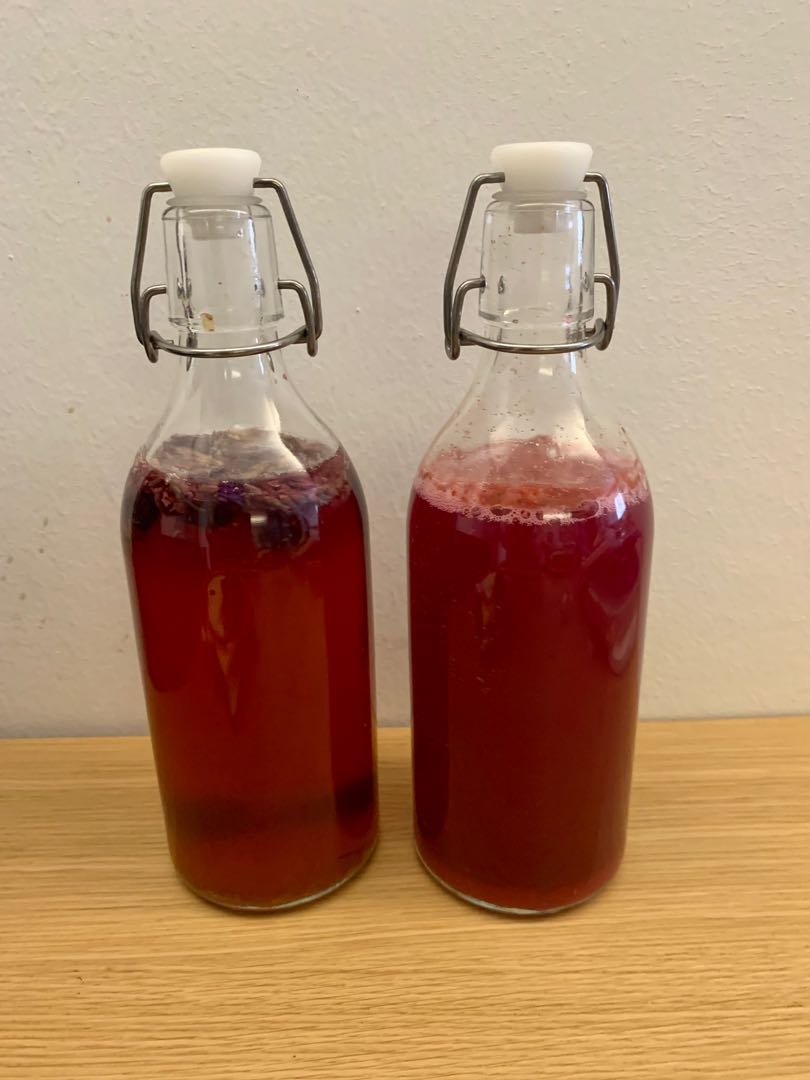 Kombucha Tea Home Brew Local Small Batch blueberry beetroot pear ...