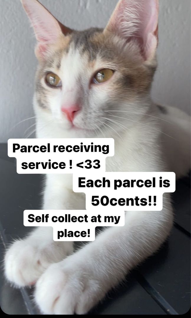 Parcel receiver