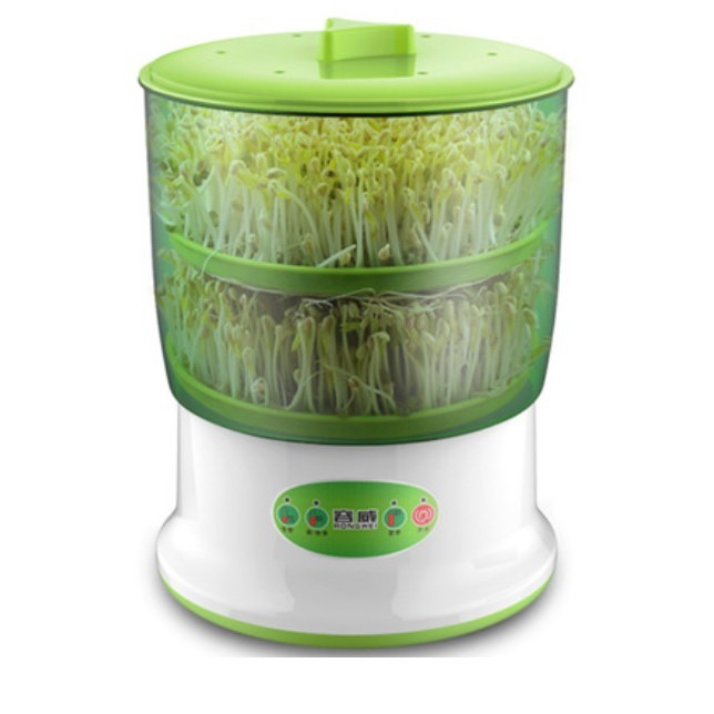 Automatic Sprouter Machine Bean Sprout Growing Machine - 3 days grow ...