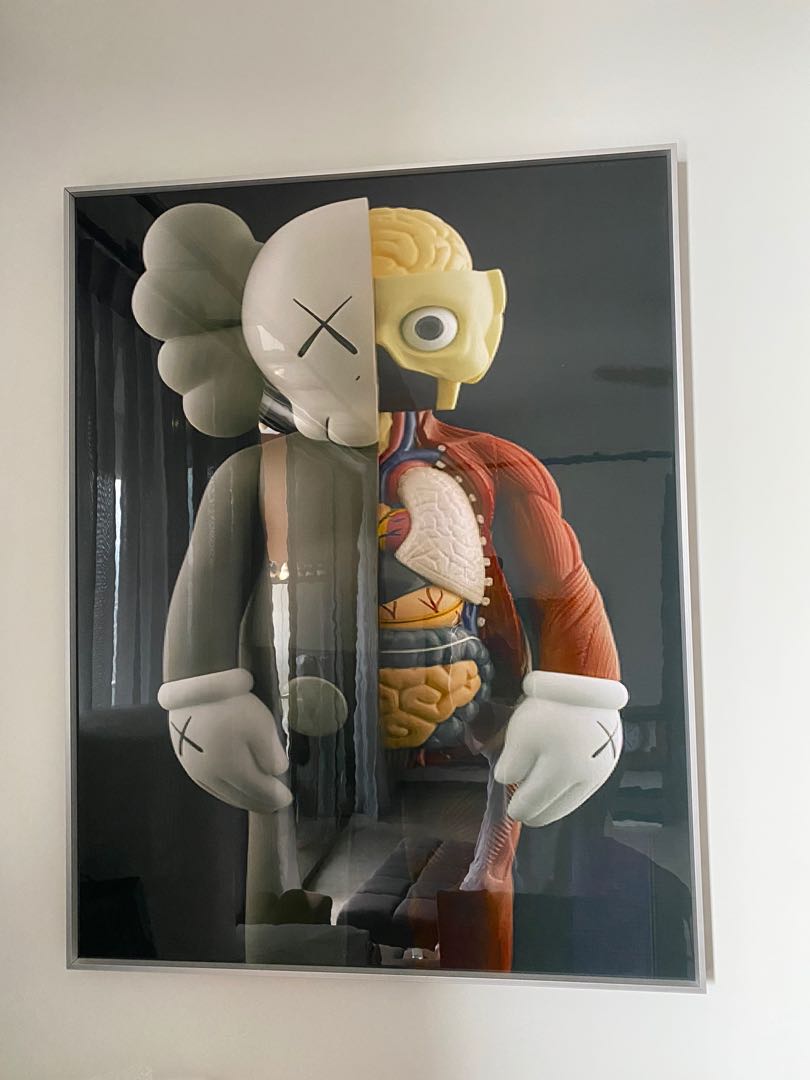 Kaws Dissected Companion Poster with Frame, Hobbies & Toys, Toys ...