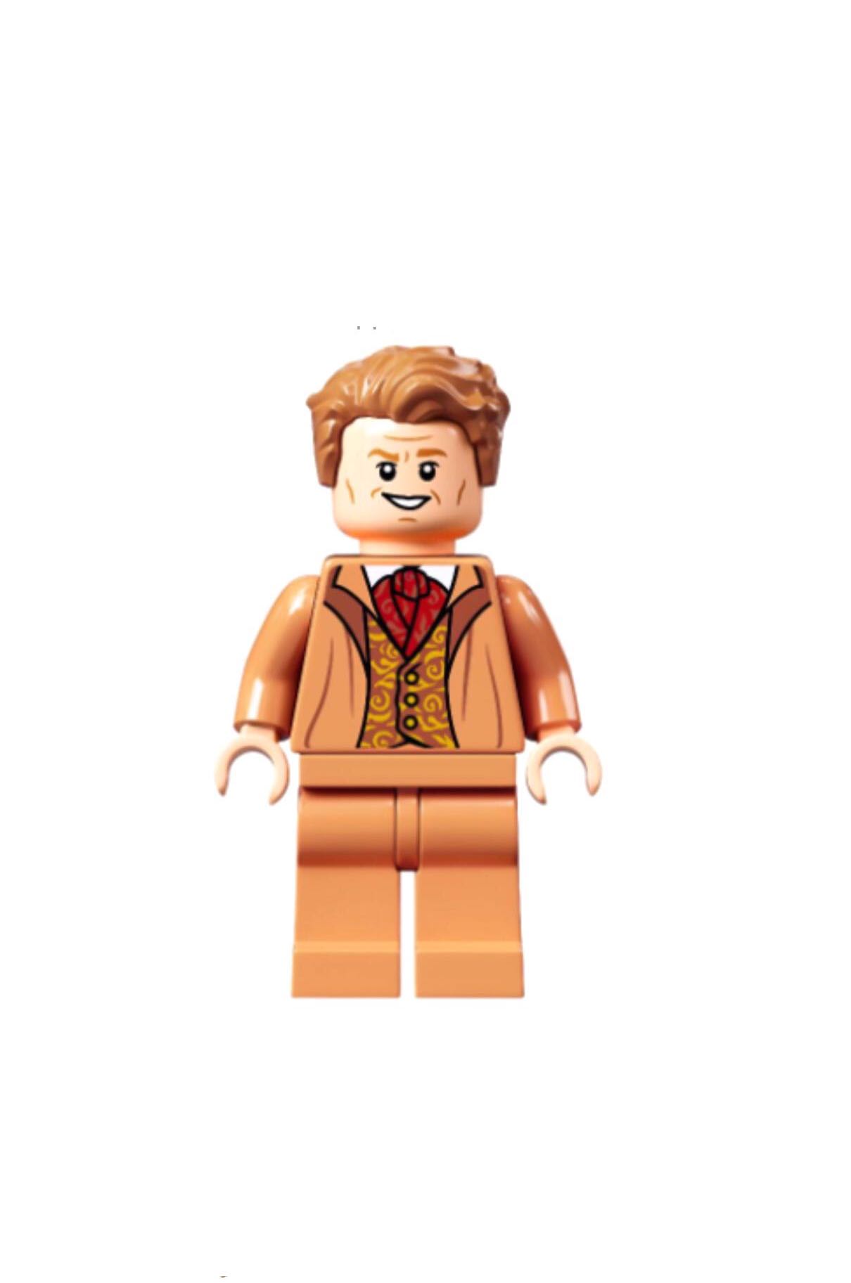 LEGO 76389 Harry Potter Professor Gilderoy Lockhart, Hobbies & Toys ...
