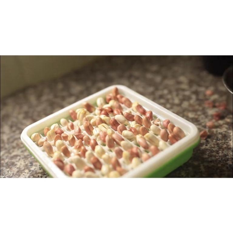 Sprouter Tray Grass Grow/Germination Soilless Plant/Home Hydroponic ...