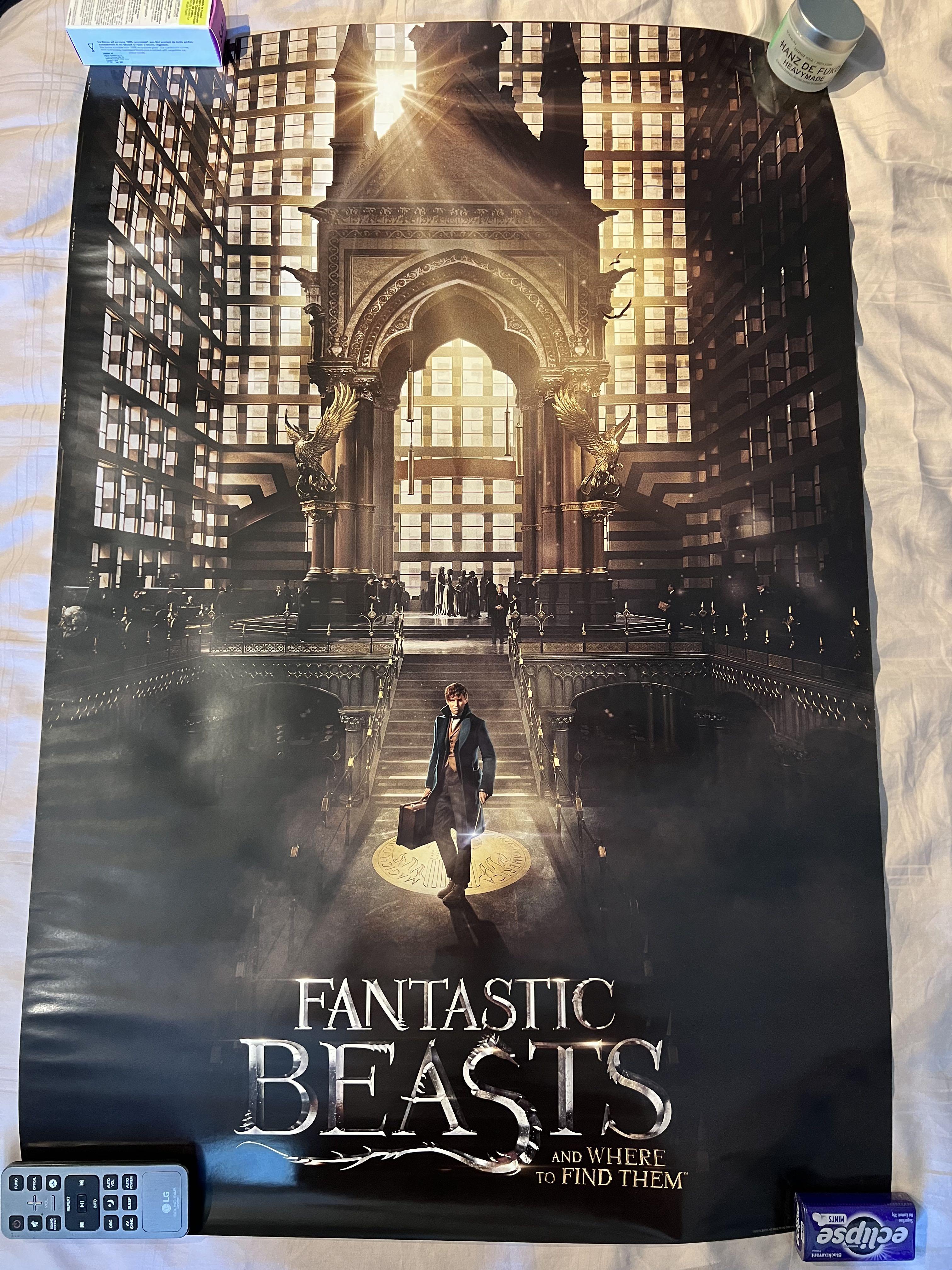 Fantastic Beasts poster, Hobbies & Toys, Memorabilia & Collectibles ...