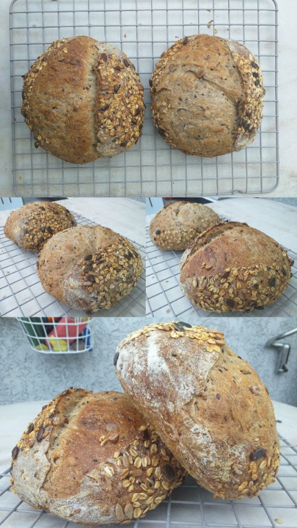 Rustic Artisan Sourdough Multi-Grains Country Loaves On Fermented ...