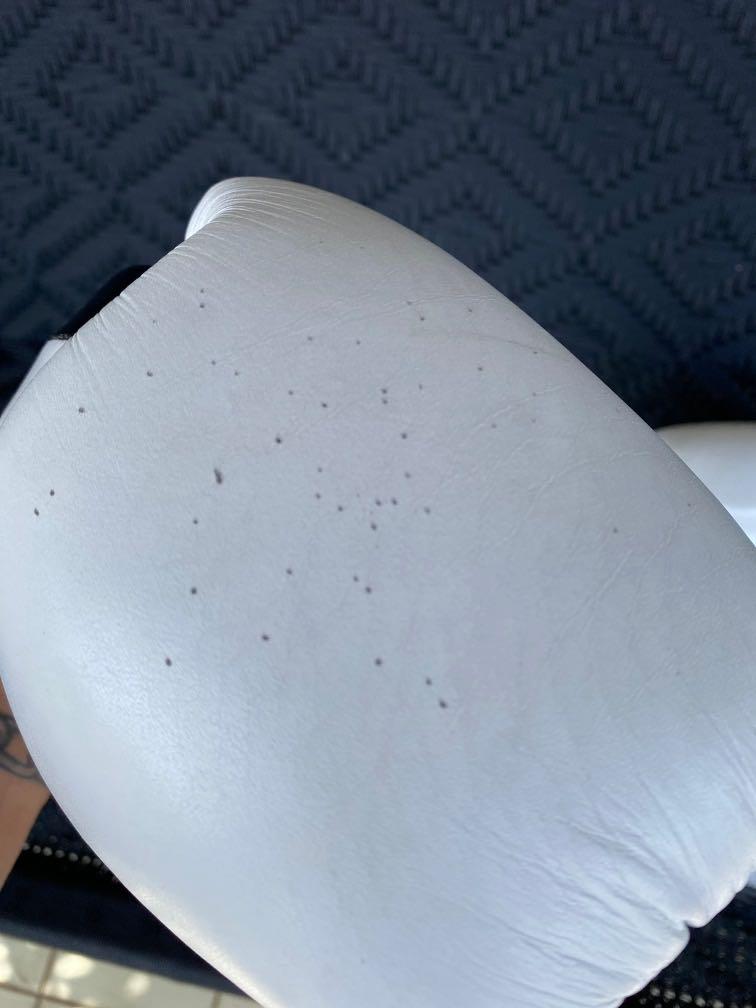 Topboxer Alien 14oz Boxing Gloves, Sports Equipment, Other Sports ...