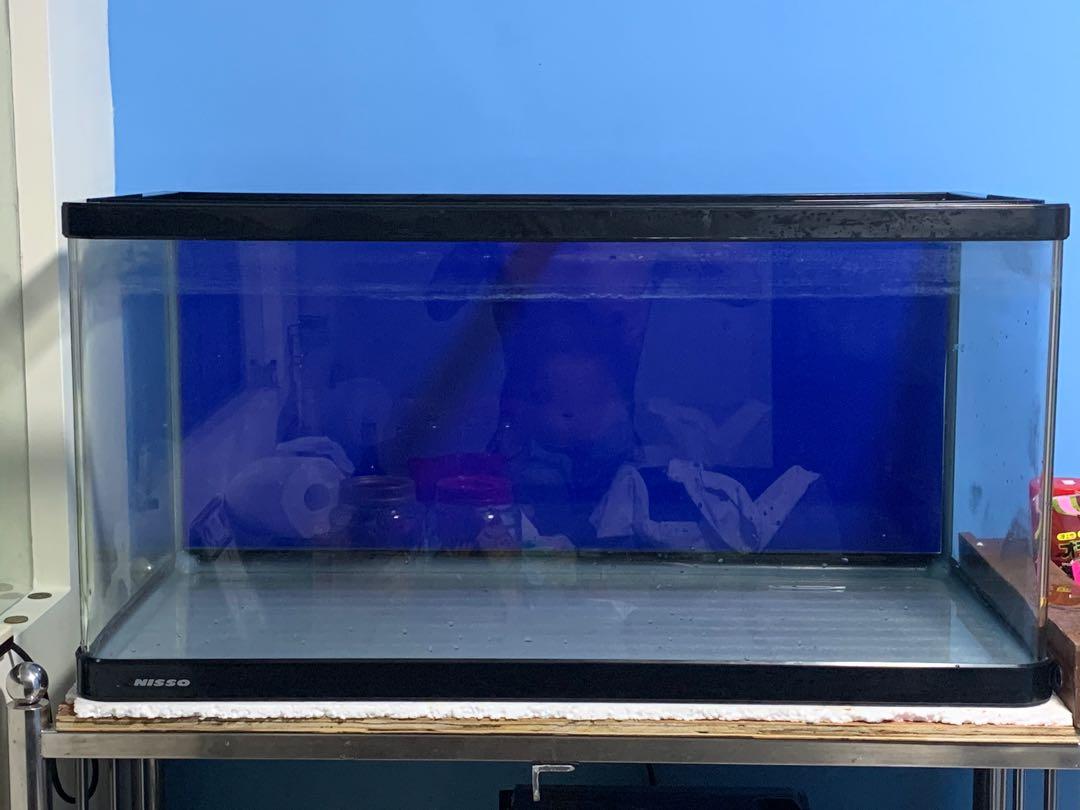 Unlevel Fish Tank Help! R/Aquariums, 41% OFF