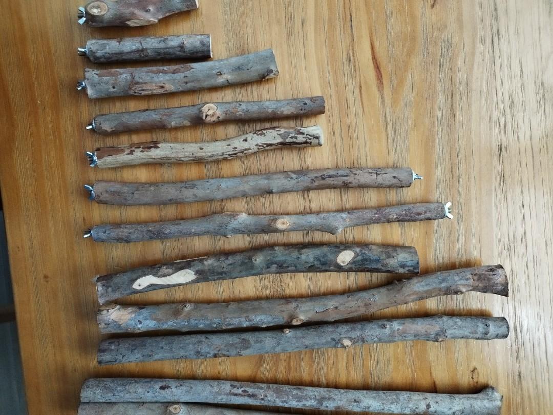 Guava wood perch for parrot, Pet Supplies, Homes & Other Pet ...