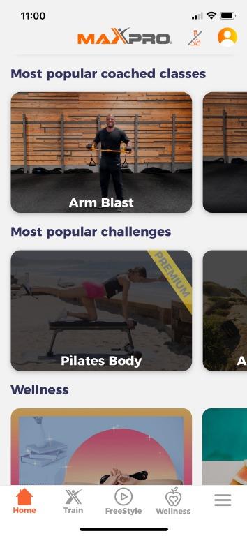 Maxpro Fitness: Cable home gym system, Sports Equipment, Exercise ...