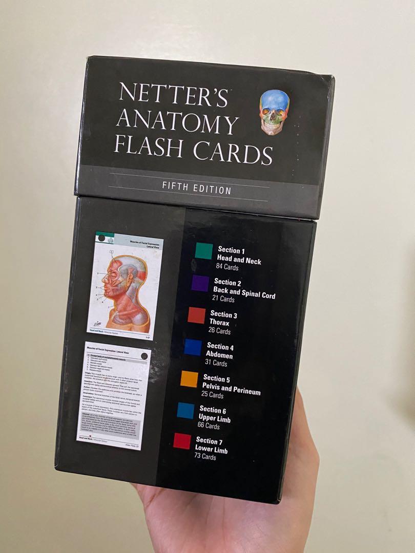 Netter’s Anatomy Flashcards, Hobbies & Toys, Books & Magazines ...