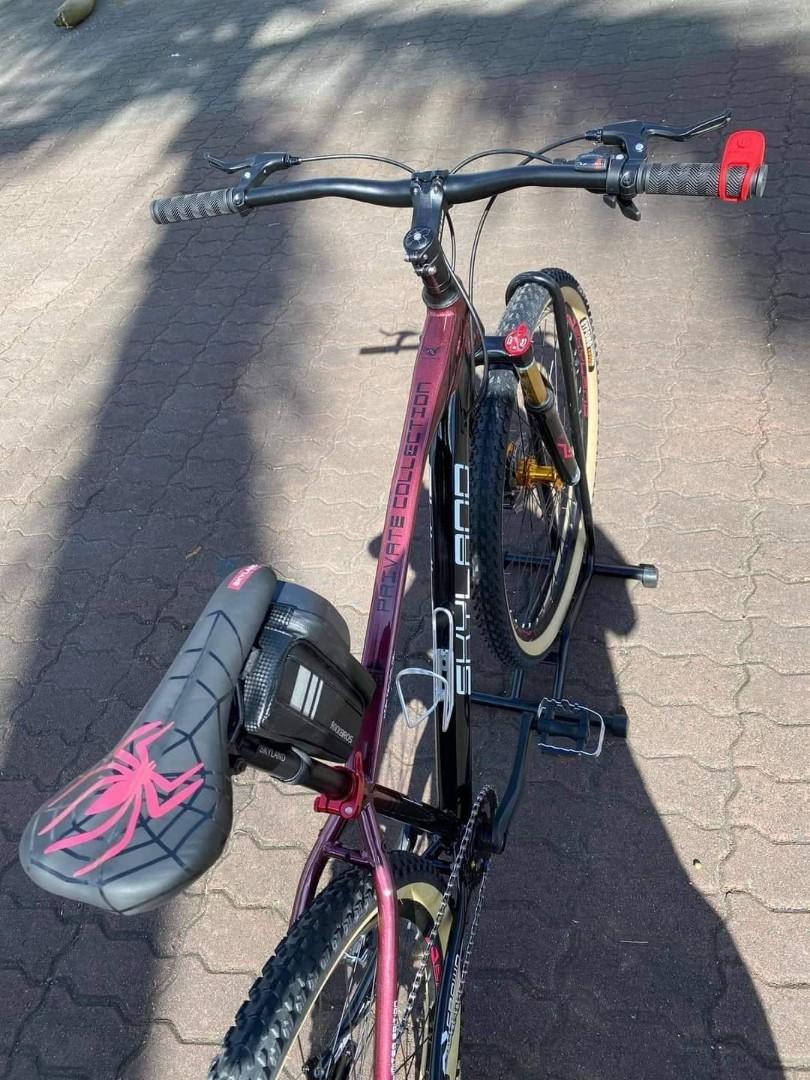 SKYLAND CROWN 1X9 29er MECHANICAL ALLOY MTB, Sports Equipment, Bicycles ...