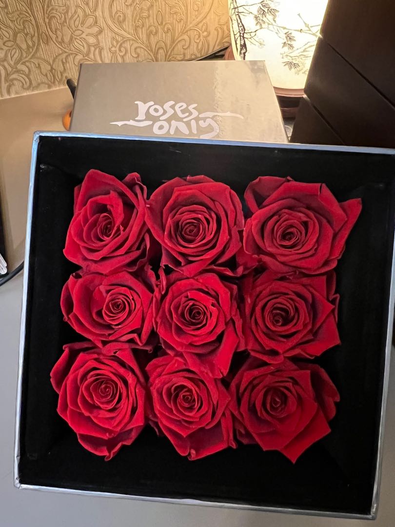 9 Red Infinity Preserved Roses Only, Hobbies & Toys, Stationery & Craft ...