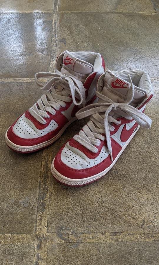 Nike Terminator High Dunk Hi, Women's Fashion, Footwear, Sneakers on ...