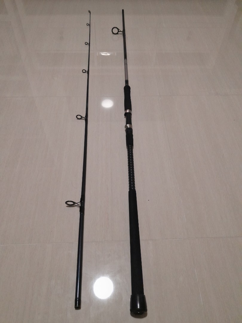 PHANTOM CATFISH surf rod, Sports Equipment, Fishing on Carousell