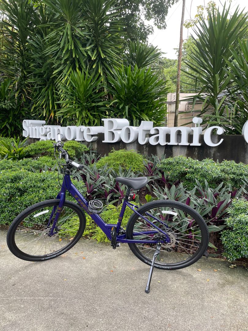 Trek Verve 3 Lowstep Hybrid Bicycle Bike Royal Purple, Sports Equipment ...