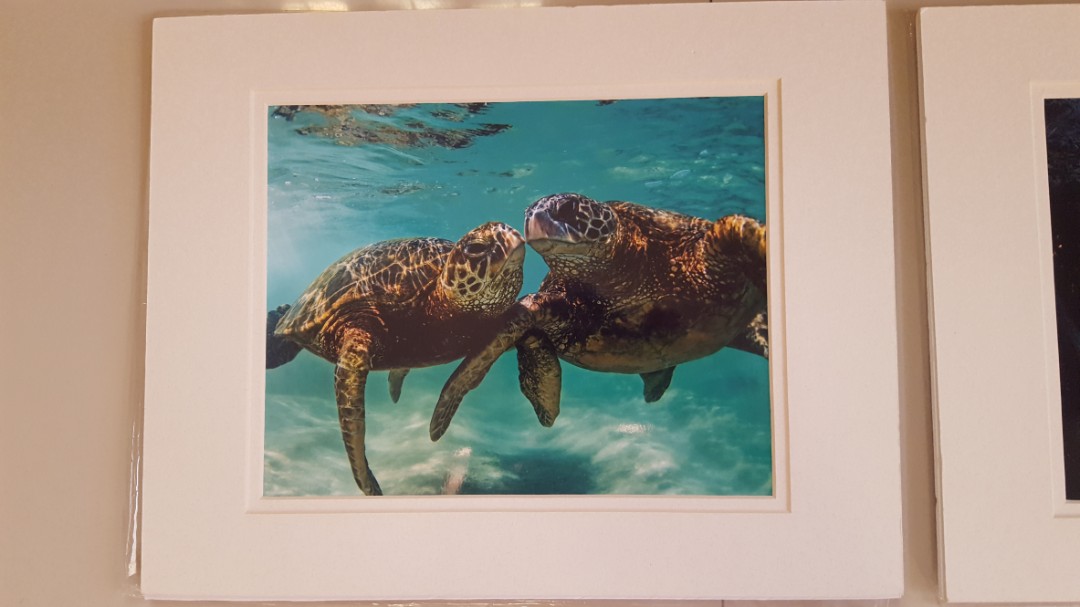 Clark Little Photography Prints, Hobbies & Toys, Memorabilia ...