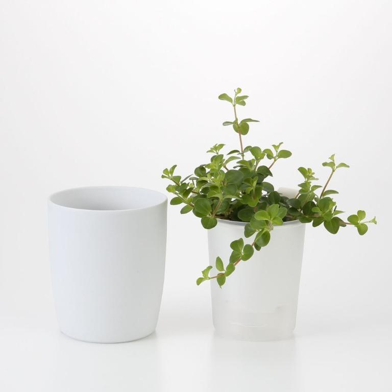 MUJI Porcelain Pot, Furniture & Home Living, Gardening, Pots & Planters ...