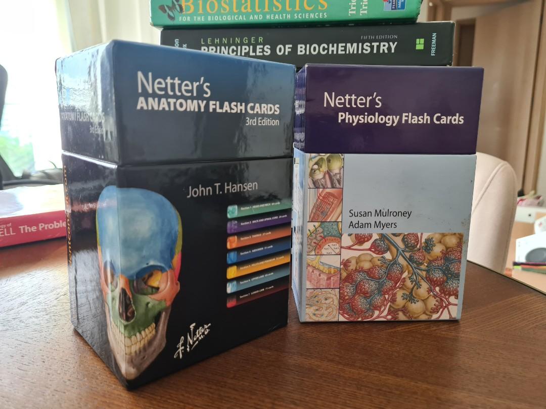 Netter's Anatomy and Physiology flashcards, Hobbies & Toys, Books ...