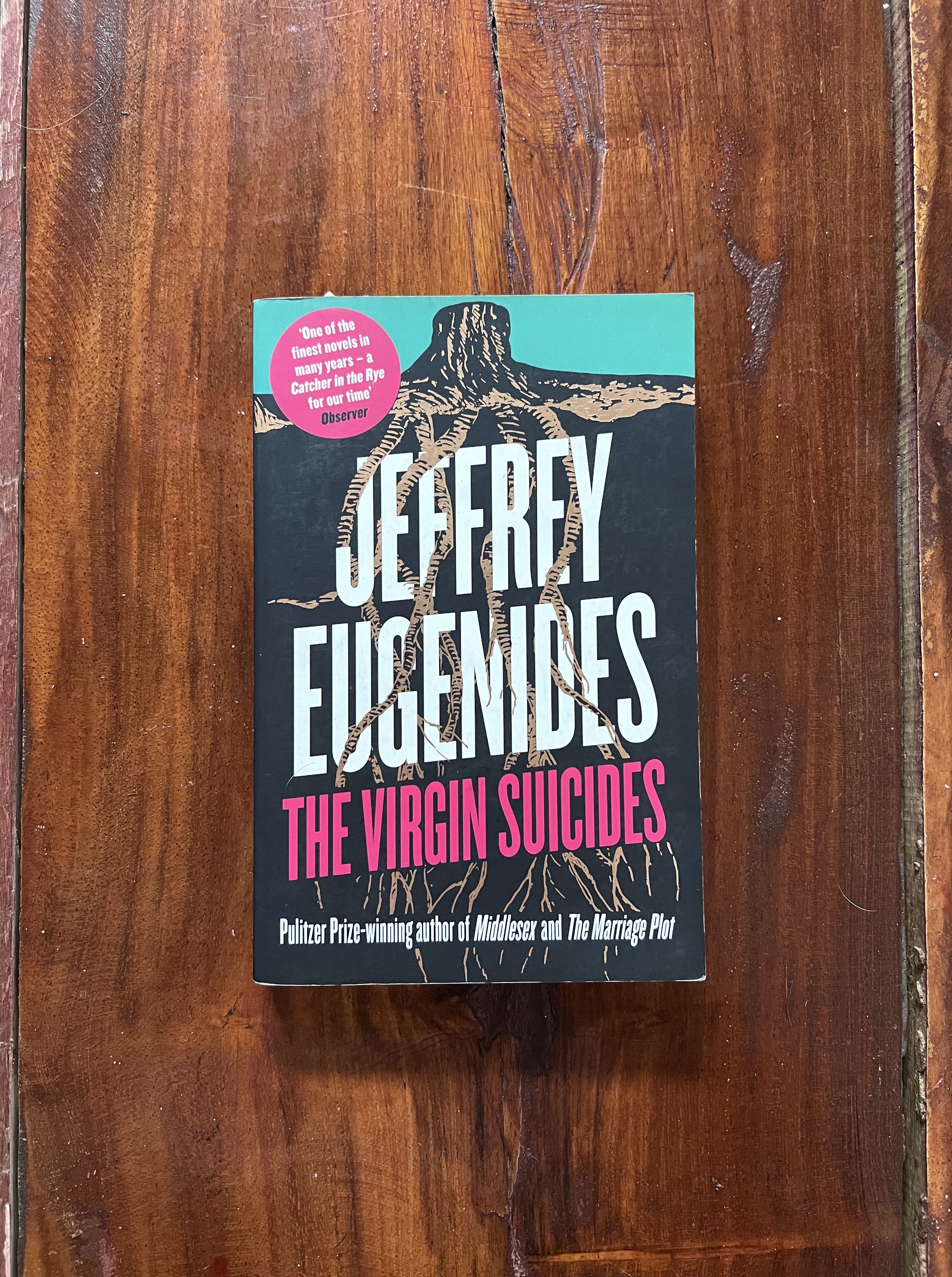 The Virgin Suicides, Hobbies & Toys, Books & Magazines, Fiction & Non ...