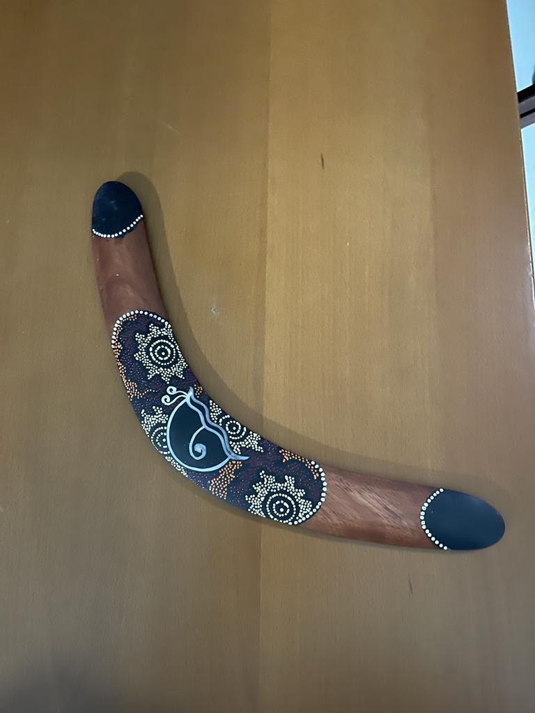 Boomerang new zealand, Sports Equipment, Other Sports Equipment and ...