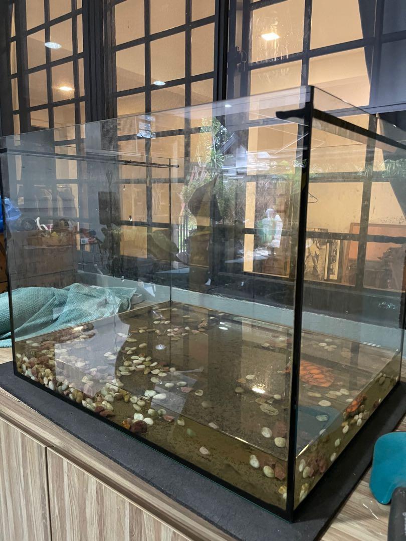 Fish Tank 60cm x 45cm x 45cm, Pet Supplies, Homes & Other Pet ...