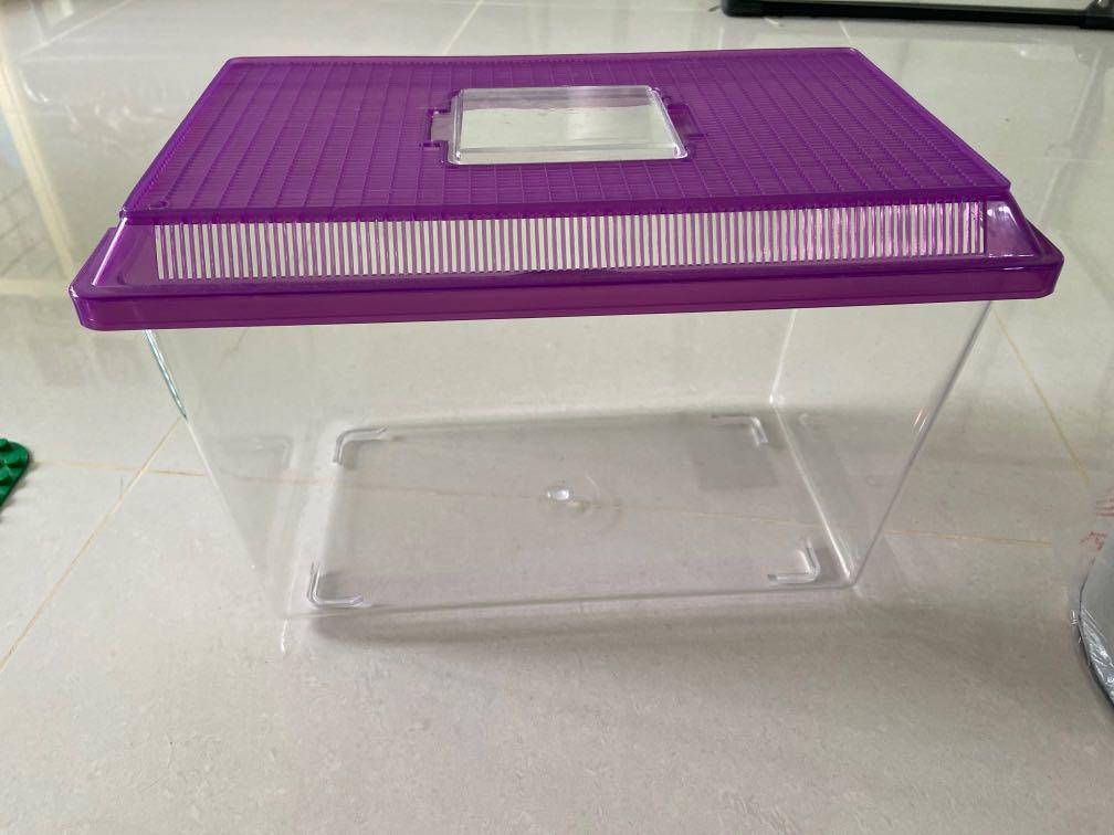 Insect tank, Pet Supplies, Homes & Other Pet Accessories on Carousell