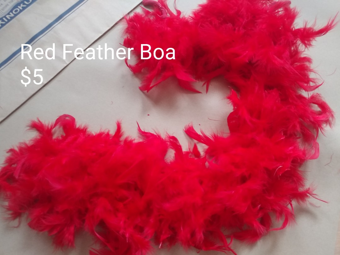 Red Feather Boa, Women's Fashion, Coats, Jackets and Outerwear on Carousell