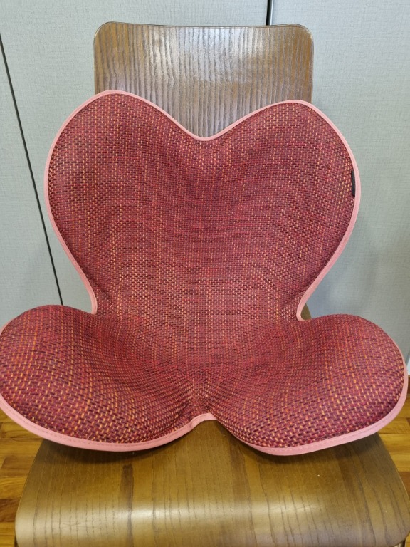 AIBI Style / Backjoy Lumbar back support seat, Health & Nutrition ...