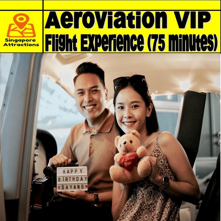 Aeroviation VIP Flight Experience (75 minutes), Tickets & Vouchers ...