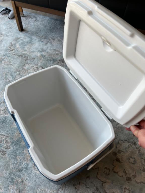 Coleman cooler box, Furniture & Home Living, Home Improvement ...