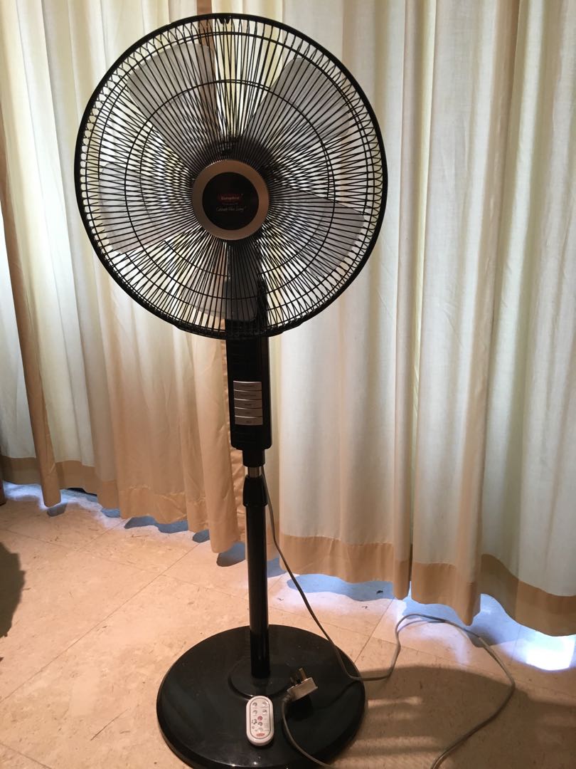 EuropAce Standing 5 Blade Fan Powerful with Remote control, TV & Home ...