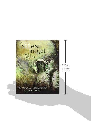 Fallen Angel tarot cards, Hobbies & Toys, Toys & Games on Carousell