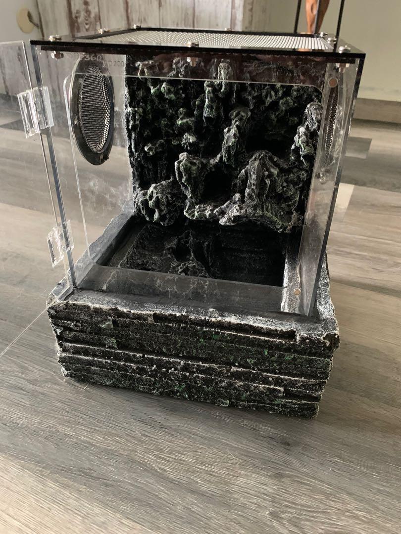 Tortoises Tank, Pet Supplies, Homes & Other Pet Accessories on Carousell