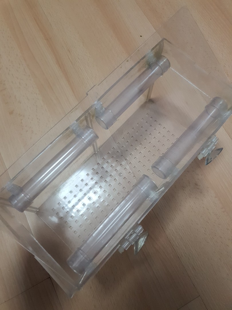 Various Isolation box, Pet Supplies, Homes & Other Pet Accessories on ...