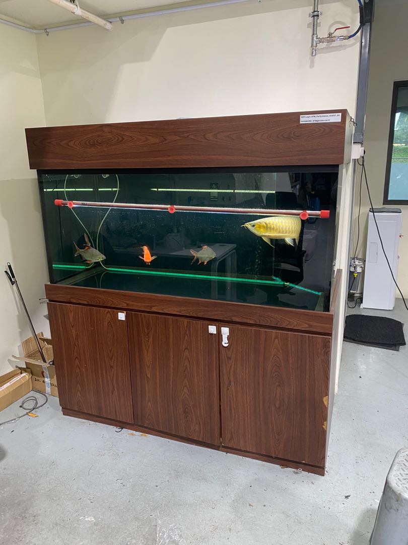 5ft x 2.5ft x 2.5ft fish tank, Pet Supplies, Homes & Other Pet ...