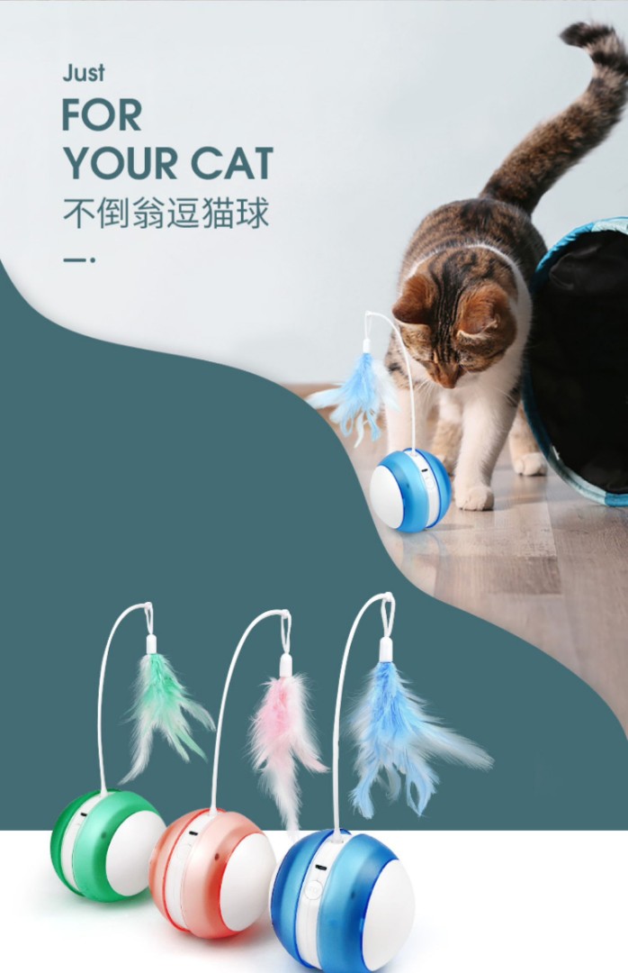 Automatic Cat Chaser Toy (Green), Pet Supplies, Homes & Other Pet ...