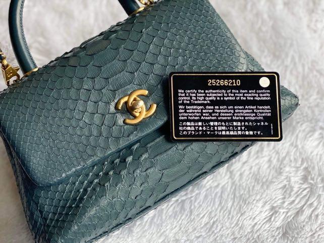 Chanel coco python, Luxury, Bags & Wallets on Carousell