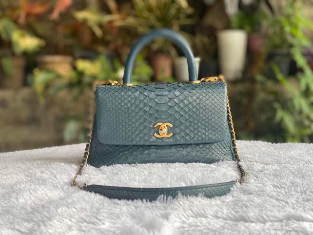 Chanel coco python, Luxury, Bags & Wallets on Carousell