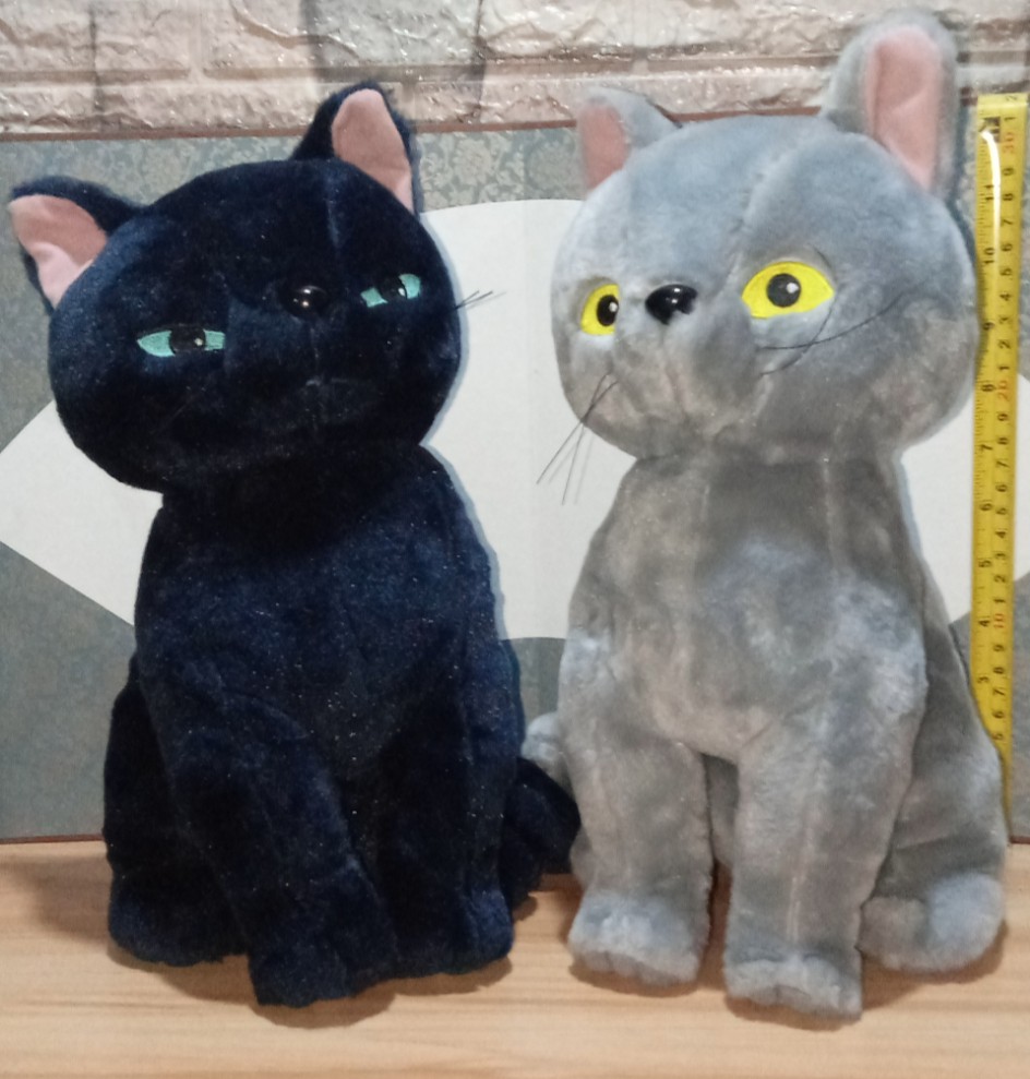 GIB and TIB Mary and The Witch's Flower BUNDLE SET - Preloved, Hobbies ...