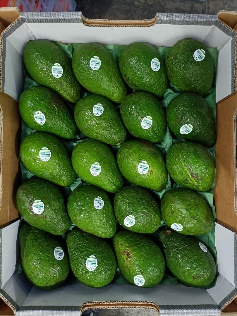 Hass Avocado Jumbo size, Food & Drinks, Fresh Produce on Carousell