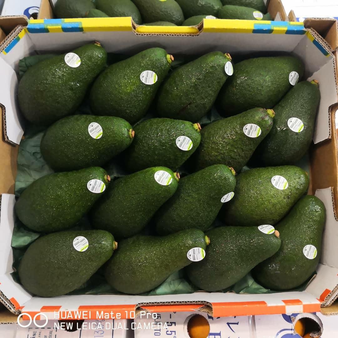 Hass Avocado Jumbo size, Food & Drinks, Fresh Produce on Carousell