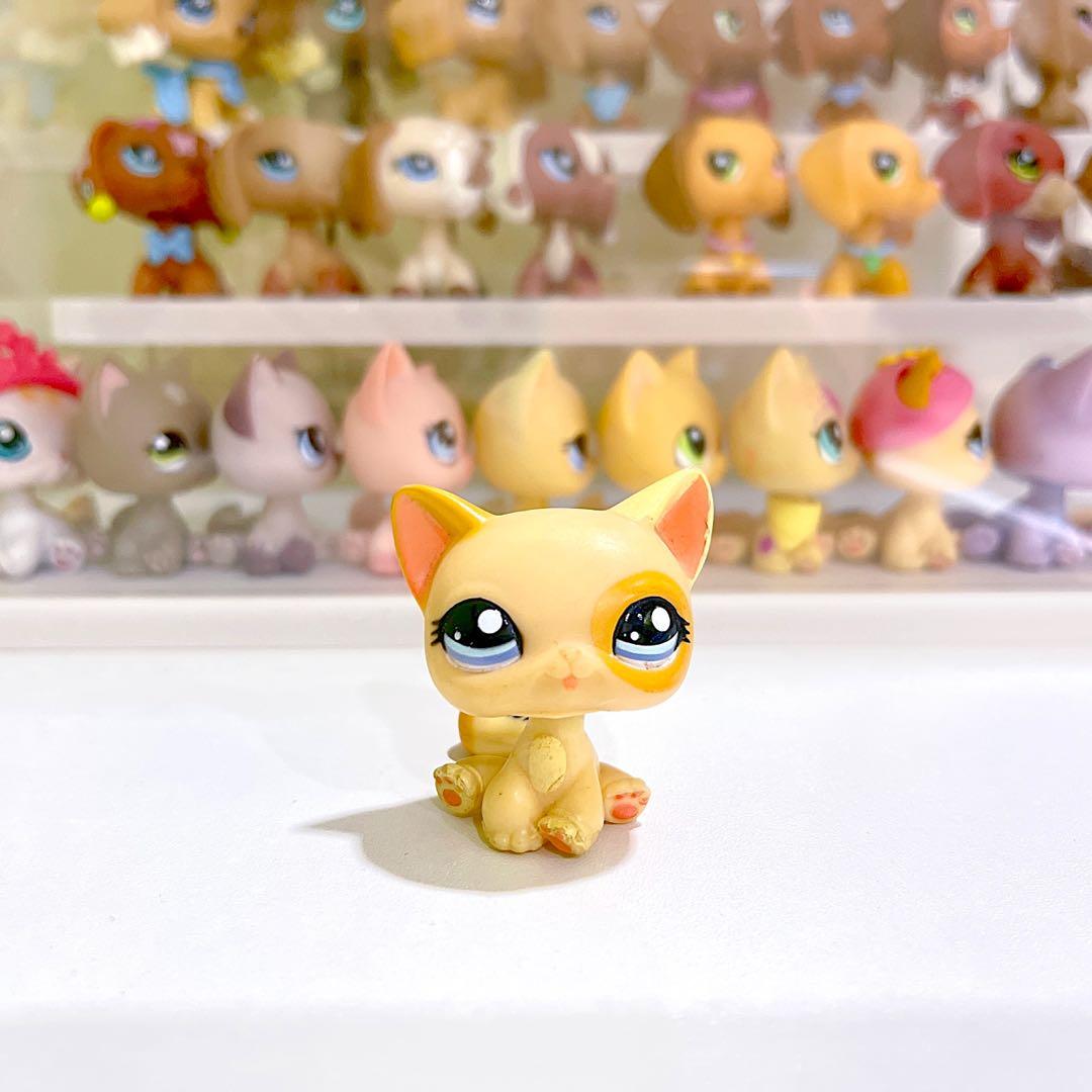 lps #1521 sitting shorthair cat littlest pet shop, Hobbies & Toys, Toys ...