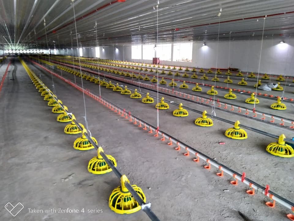 POULTRY, COLD STORAGE, FREEZER ROOM, WAREHOUSE !, Community on Carousell