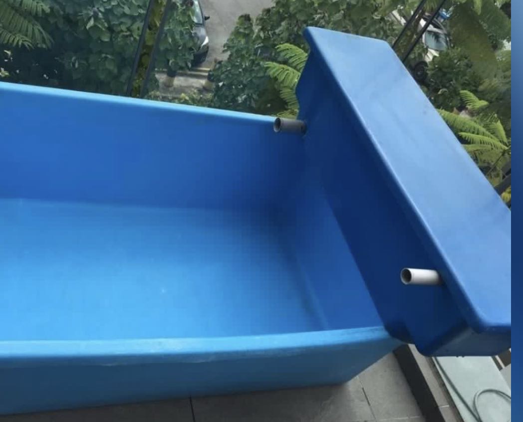 Blue fibre tank, Pet Supplies, Homes & Other Pet Accessories on Carousell